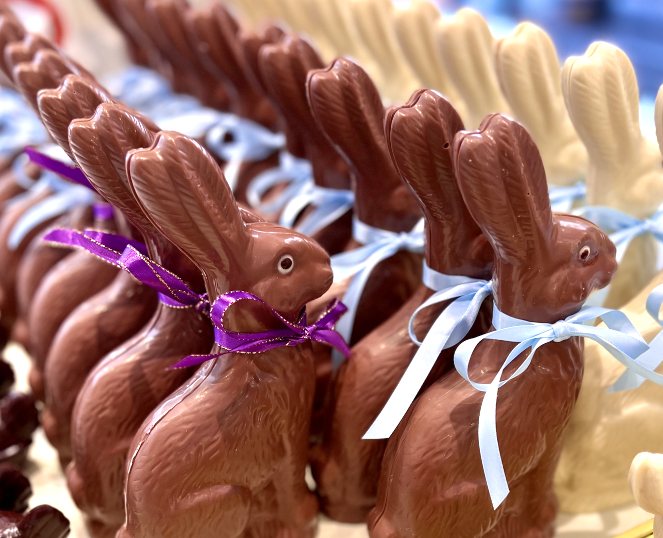 Large Bunny | Jayce Baudry French Pastry